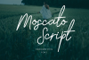 Moscato Script (44284) | Script | Font Bundles