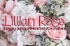 Lillian Rose (80663) | Regular | Font Bundles