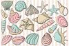 Sea Shells