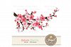 Cherry Blossoms Digital Papers and Sakura Clipart (248814) | Patterns ...