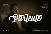 Parlente Script (177083) | Script | Font Bundles