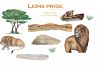 Lion clipart, africa clipart, safari clipar, cute animals