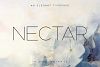 Nectar Typeface (96429) | Regular | Font Bundles