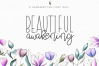 Beautiful Awakening - A Serif & Script Font Duo (69801) | Script | Font ...