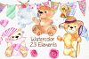 Watercolor teddy bear clipart