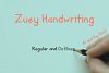 Zuey Handwriting (16351) | Sans Serif | Font Bundles