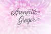 Aromatic Ginger (240533) | Script | Font Bundles