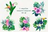 Tropical Watercolor Set (141566) | Illustrations | Design Bundles