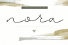 Nora - Handwritten Script Font (97296) | Script | Font Bundles