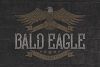 Bald Eagle Typeface (65159) | Regular | Font Bundles