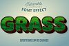 Grass text, editable font effect