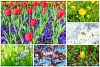 Spring Flowers and Paintings Bundle