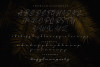 Millano // Signature Font (150637) | Script | Font Bundles