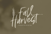 Fall Harvest - A Handwritten Script Font with extras! (327795 ...