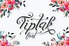 Tiptak (147827) | Script | Font Bundles