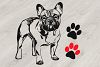 French bulldog SVG, cute Dog paw SVG, Family Pet, 817S (91304) | SVGs ...