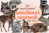 Woodland Animals Hand painted Clip Art Set (57890) | Illustrations ...