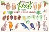 forest bundle watercolor clipart