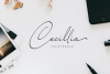 Millano // Signature Font (150637) | Script | Font Bundles