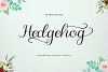 Hedgehog (1283) | Calligraphy | Font Bundles