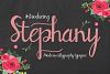 Stephany (1346) | Script | Font Bundles