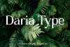 Daria Type (257879) | Regular | Font Bundles