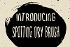 Spotting Dry Brush (18391) | Script | Font Bundles
