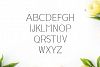 Lisandro Slab Serif Font (33804) | Slab Serif | Font Bundles