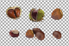 Nuts clip art pack, Watercolor nuts chart, food print (134672 ...