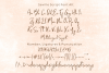 Seville Script Fonts (150136) | Script | Font Bundles