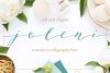 Joleni Font - modern elegant calligraphy (17334) | Script | Font Bundles