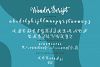 Wonder Script Fun Calligraphy (365956) | Script | Font Bundles