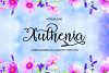 Authenia (155401) | Script | Font Bundles
