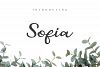Sofia script (90004) | Script | Font Bundles
