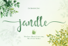 Jandle Script (296141) | Script | Font Bundles