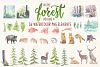 forest bundle watercolor clipart