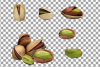 Nuts clip art pack, Watercolor nuts chart, food print (134672 ...