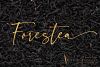 Forestea - Classy Script (431571) | Handwritten | Font Bundles