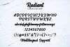 Radiant Iconic Script (276520) | Script | Font Bundles