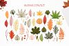 Hand drawn Autumn collection. Fall clipart (31708) | Illustrations ...