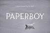 Paperboy | A Hand Drawn Playful Serif