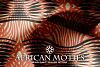African Motifs (97413) | Patterns | Design Bundles