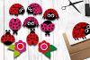 Ladybug illustrations and graphics bundle (78030) | Illustrations ...