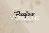 Freeflow Monoline Script (255716) | Script | Font Bundles