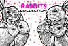 Rabbits Collection Art
