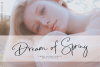 Dream of Spring (148890) | Script | Font Bundles