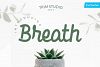 Breath - Beauty in Bold Script (274928) | Script | Font Bundles