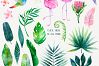 Tropical Watercolor Set (141566) | Illustrations | Design Bundles