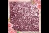 42 Rose Gold Sequin and Glitter Papers (90387) | Backgrounds | Design ...