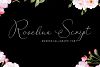 Roselina Script (253969) | Script | Font Bundles